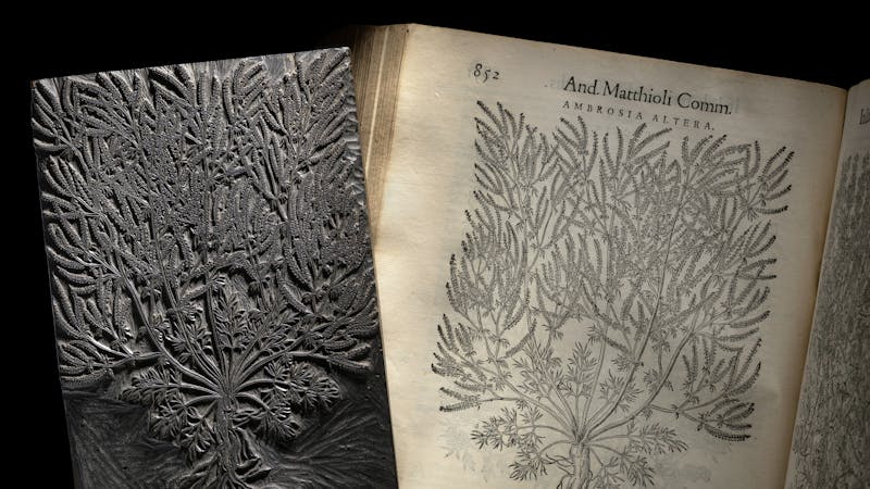 Inside our collections | Wellcome Collection