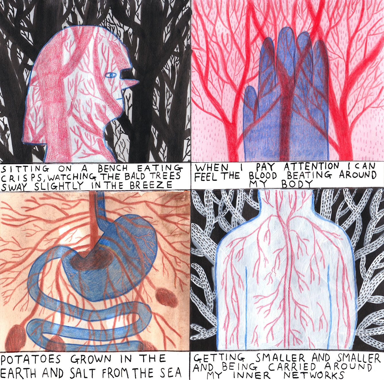 Crisps | Wellcome Collection