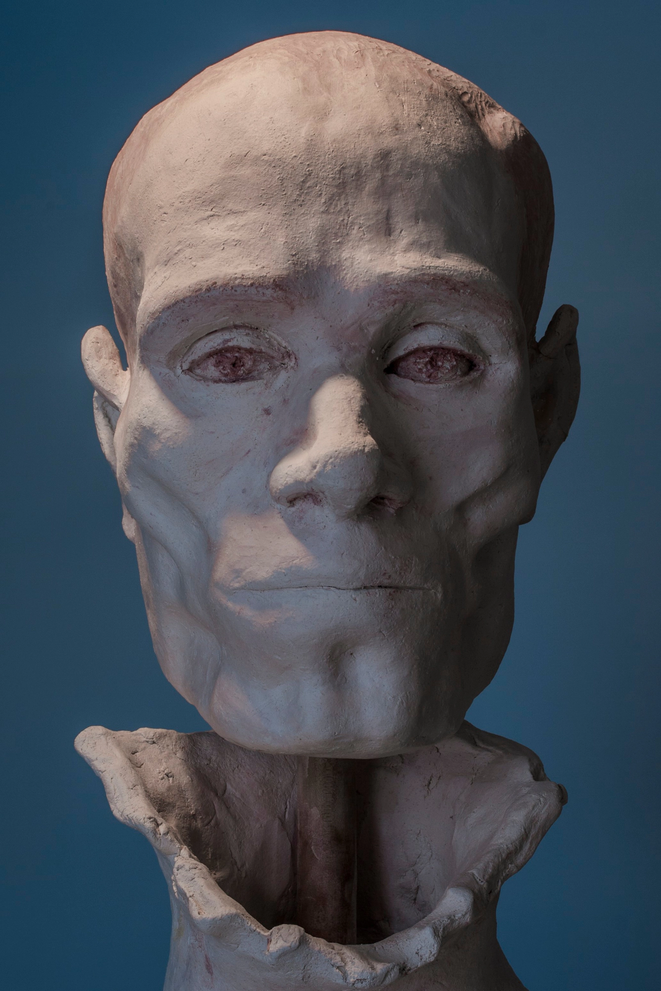 Forensic sculpture and the uncannily human clay heads | Wellcome Collection