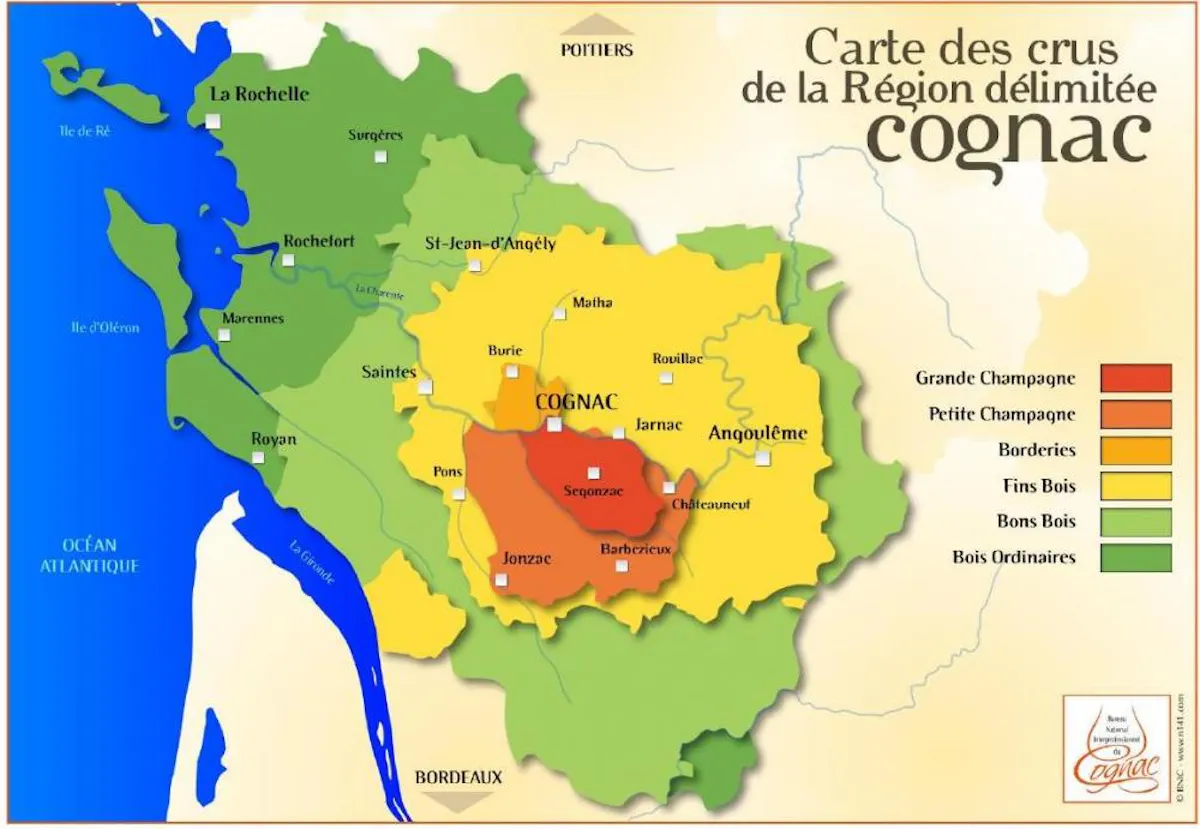 How Cognac Is Made: Key Steps in the Production Process - Maison du Whisky