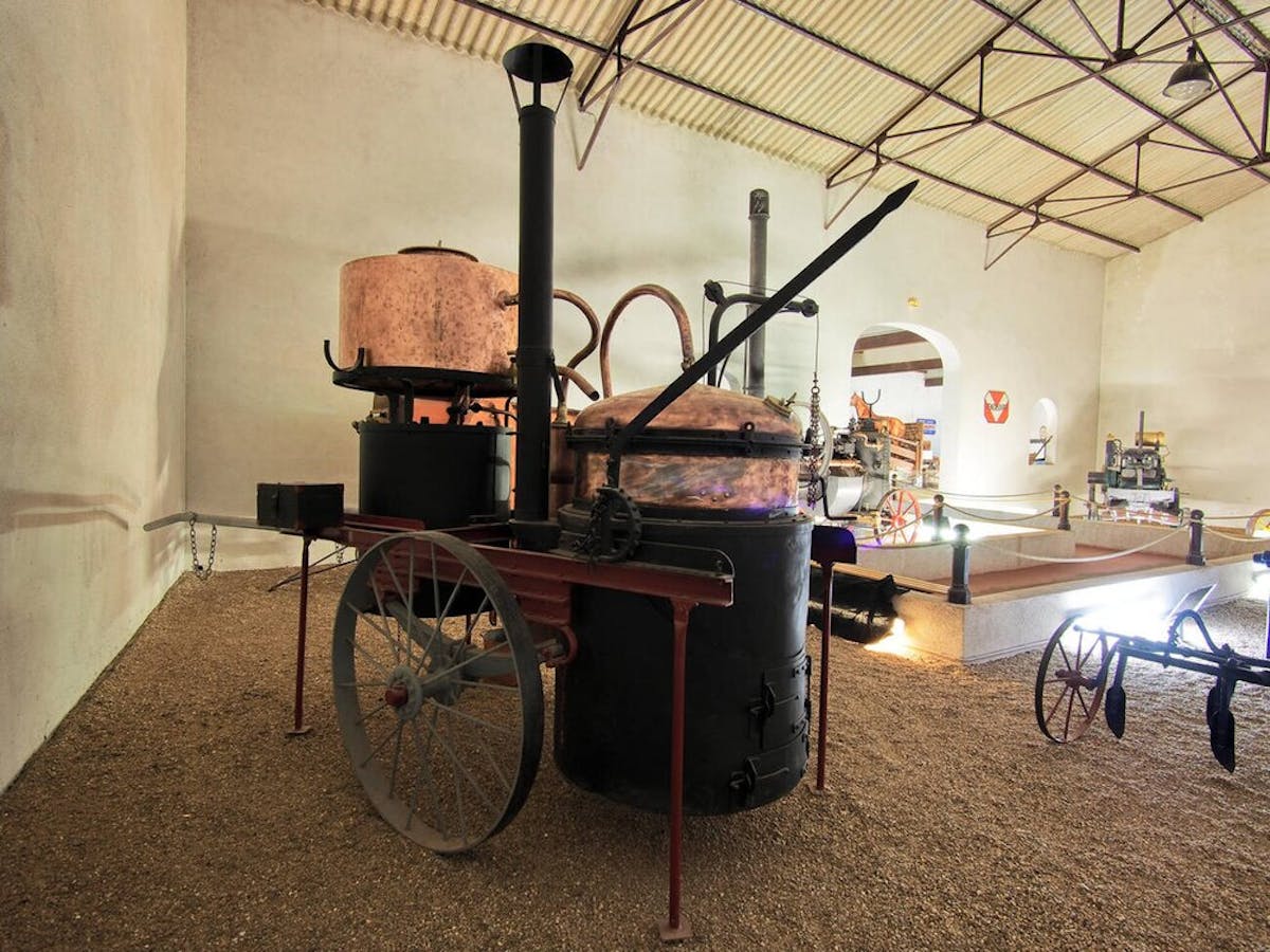 How Cognac Is Made: Key Steps in the Production Process - Maison du Whisky