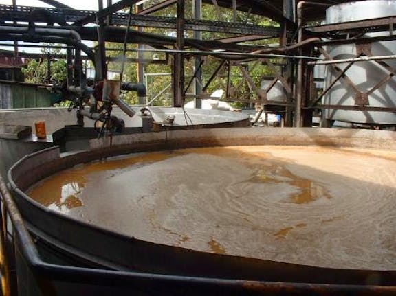 From sugarcane to rum : how is rum made ? - Maison du Whisky