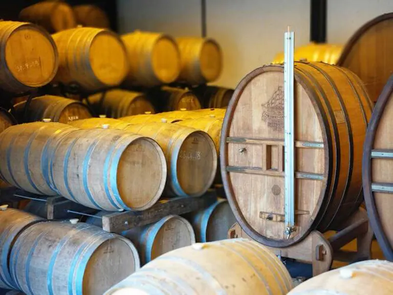 From sugarcane to rum : how is rum made ? - Maison du Whisky