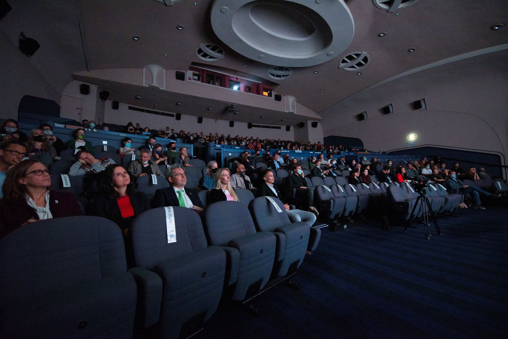 How to host your own film screening | Save Our Wild Isles