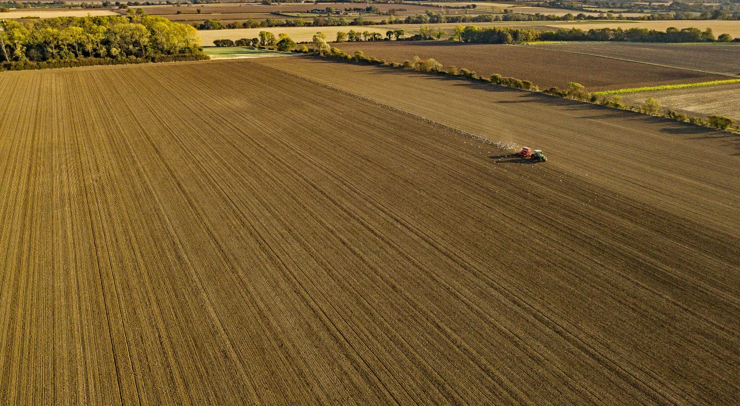 Intensive farming | Save Our Wild Isles