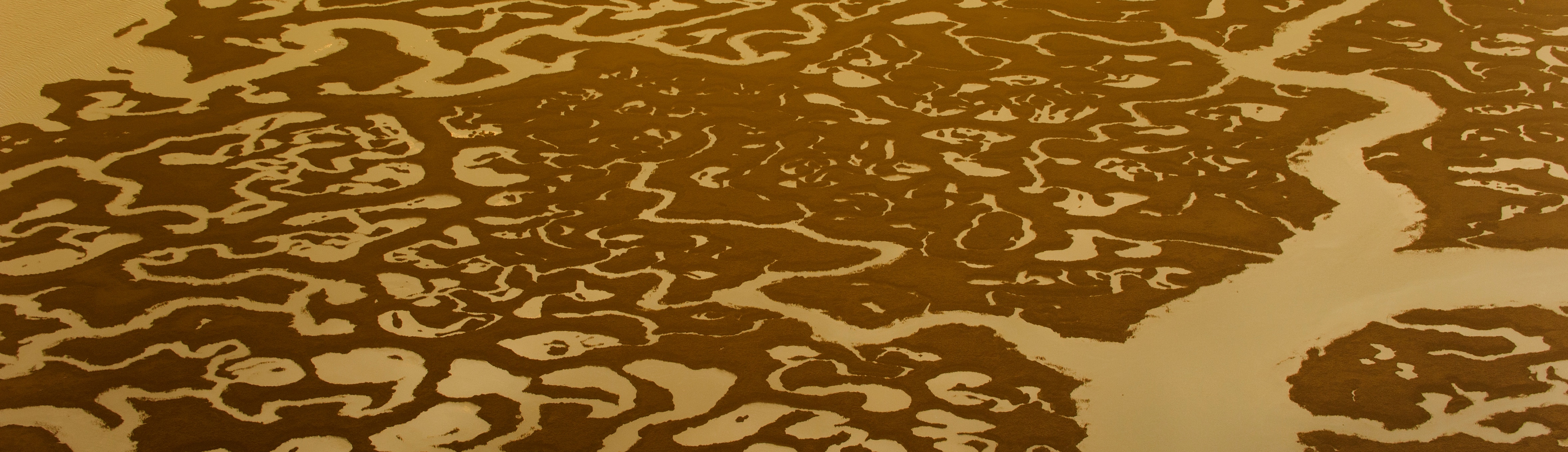 Thoughts on Financing Nature Recovery UK's "Roadmap"