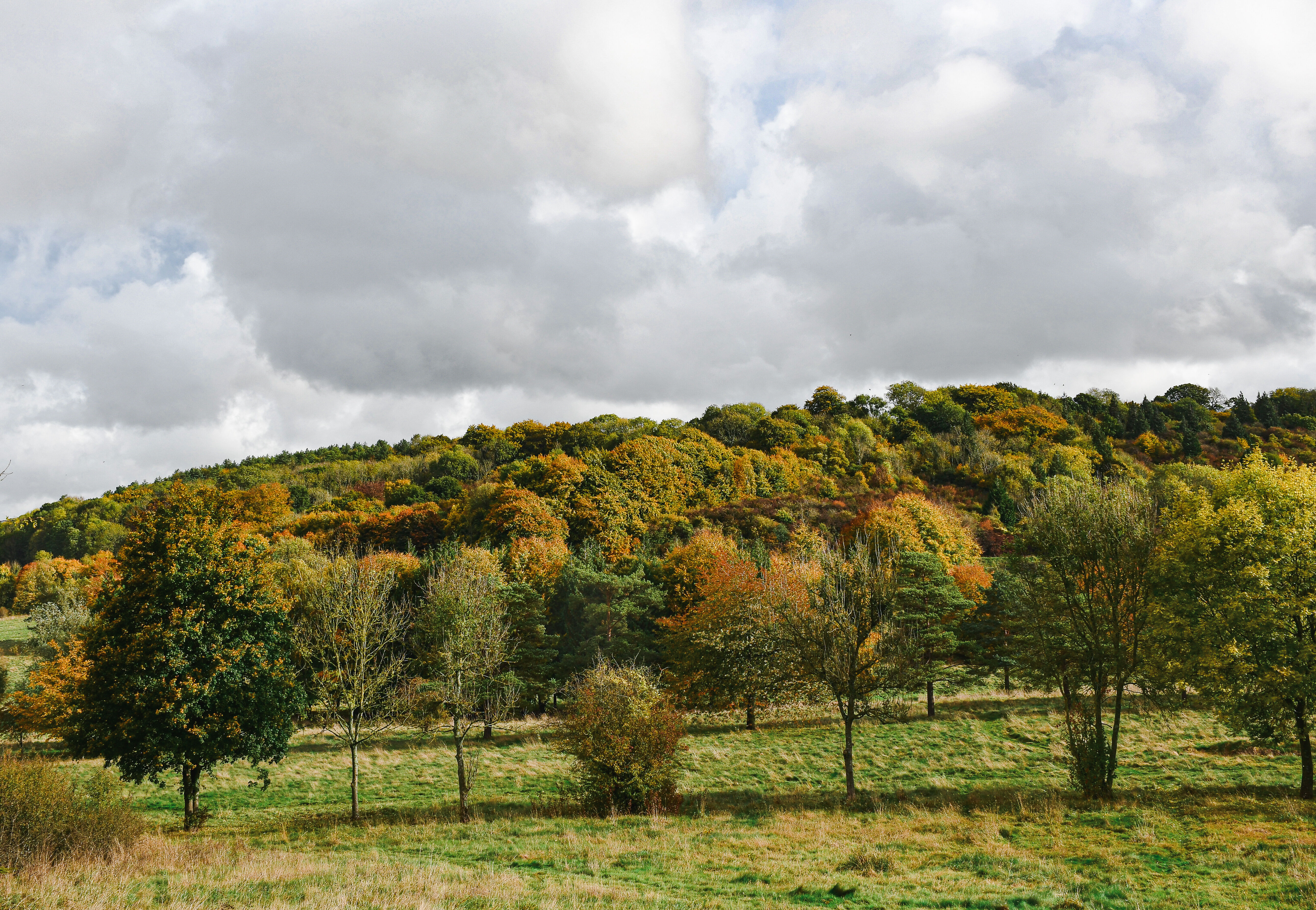 First projects validated by Soil Association Certification