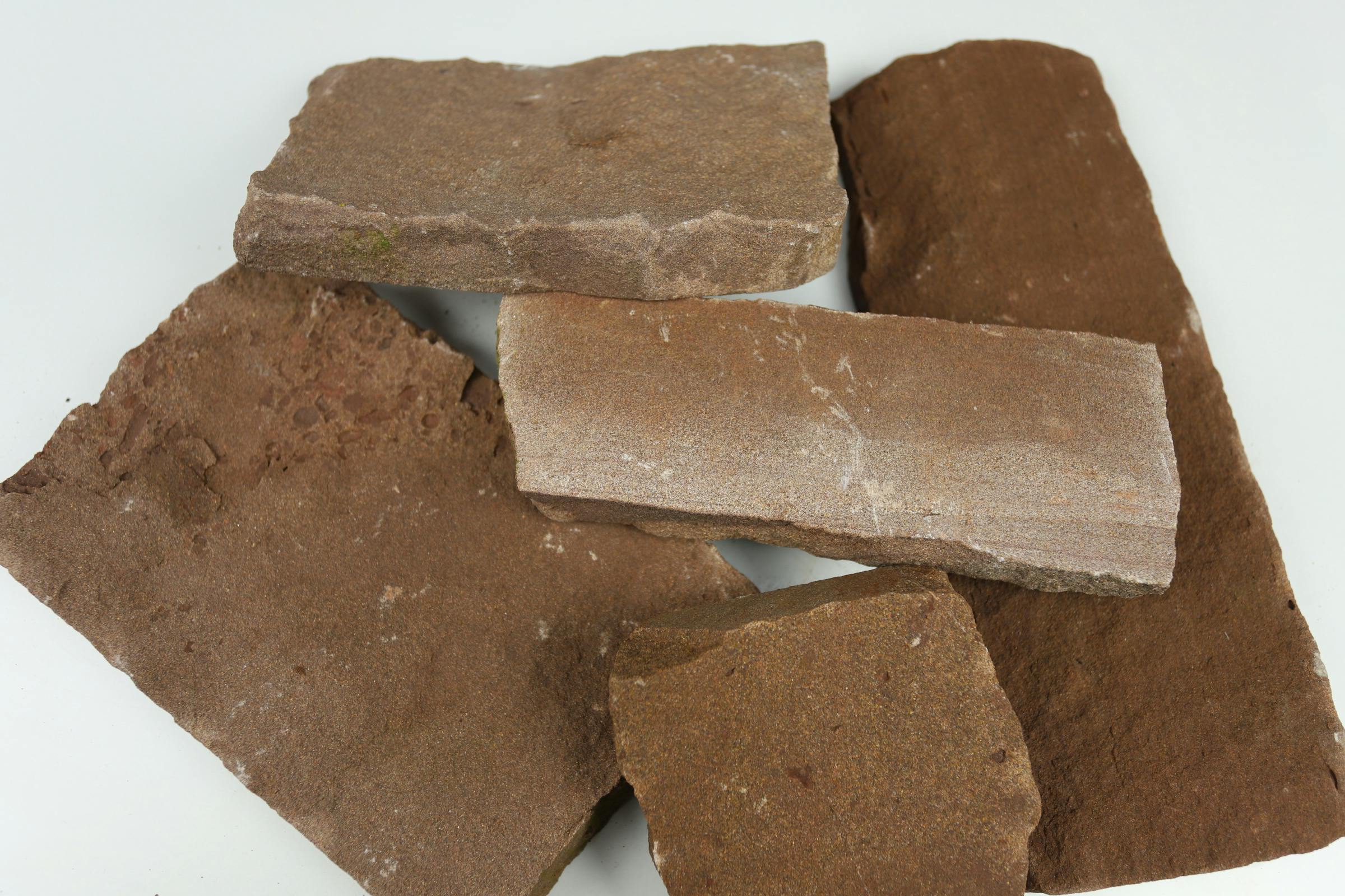 Britannia Range | Shire Red - 823