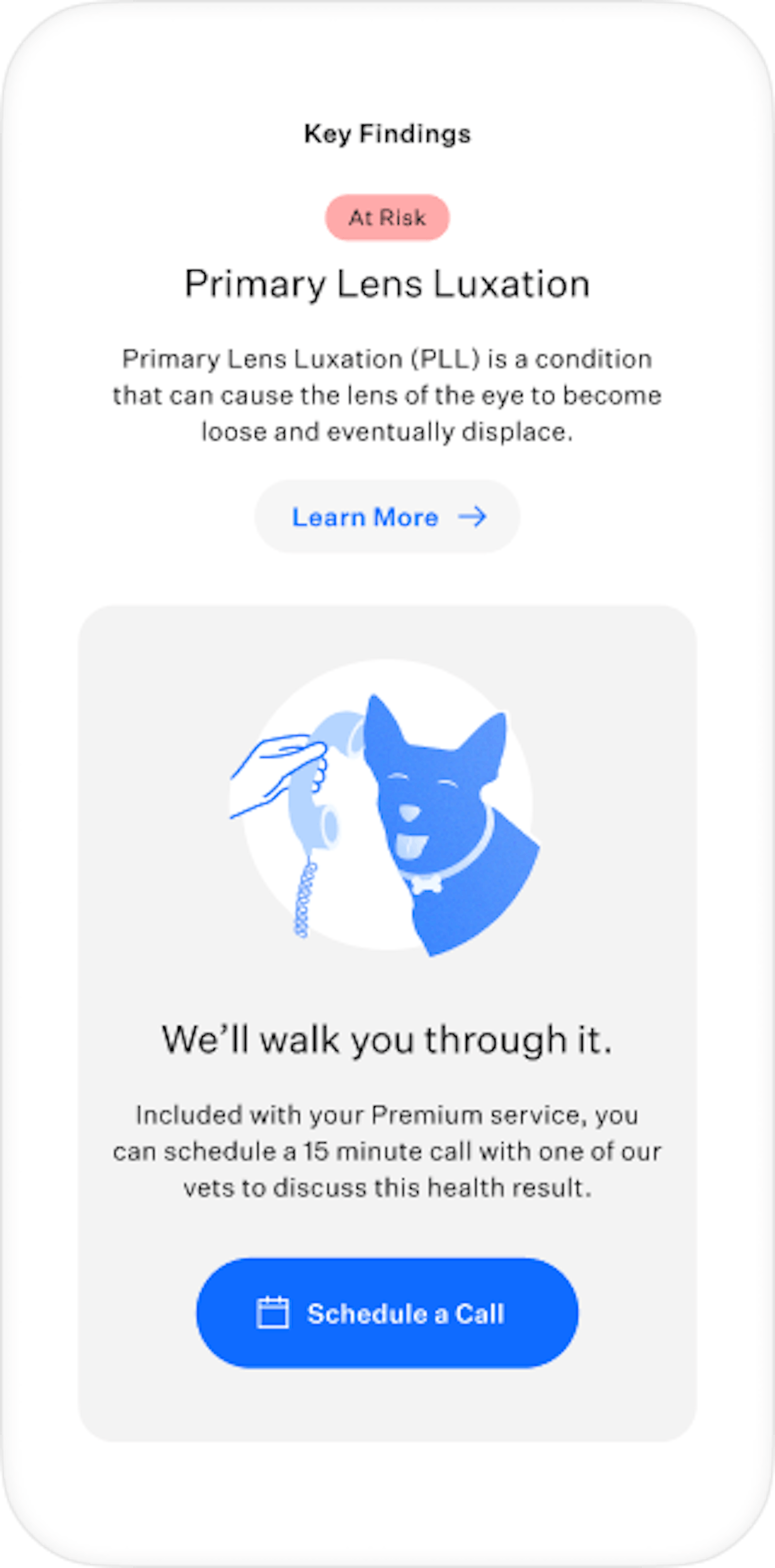 Shop cat DNA tests | Wisdom Panel™ Complete for Cats