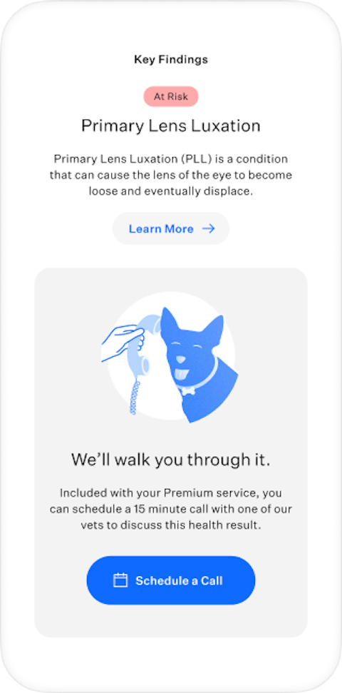 Shop cat DNA tests | Wisdom Panel™ Complete for Cats