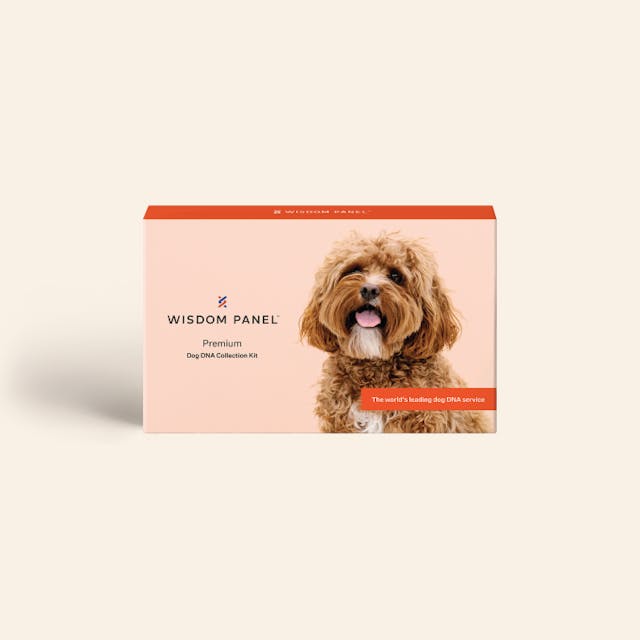 Learn More About Wisdom Panel™ Research and Pet DNA Tests