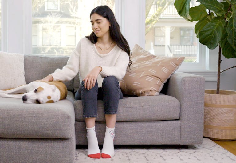 Wisdom Panel™ | The world's most accurate pet DNA test service