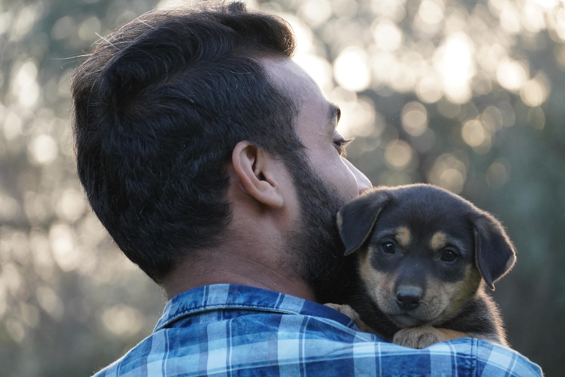 Health benefits of dogs: Why pet parents have better lives