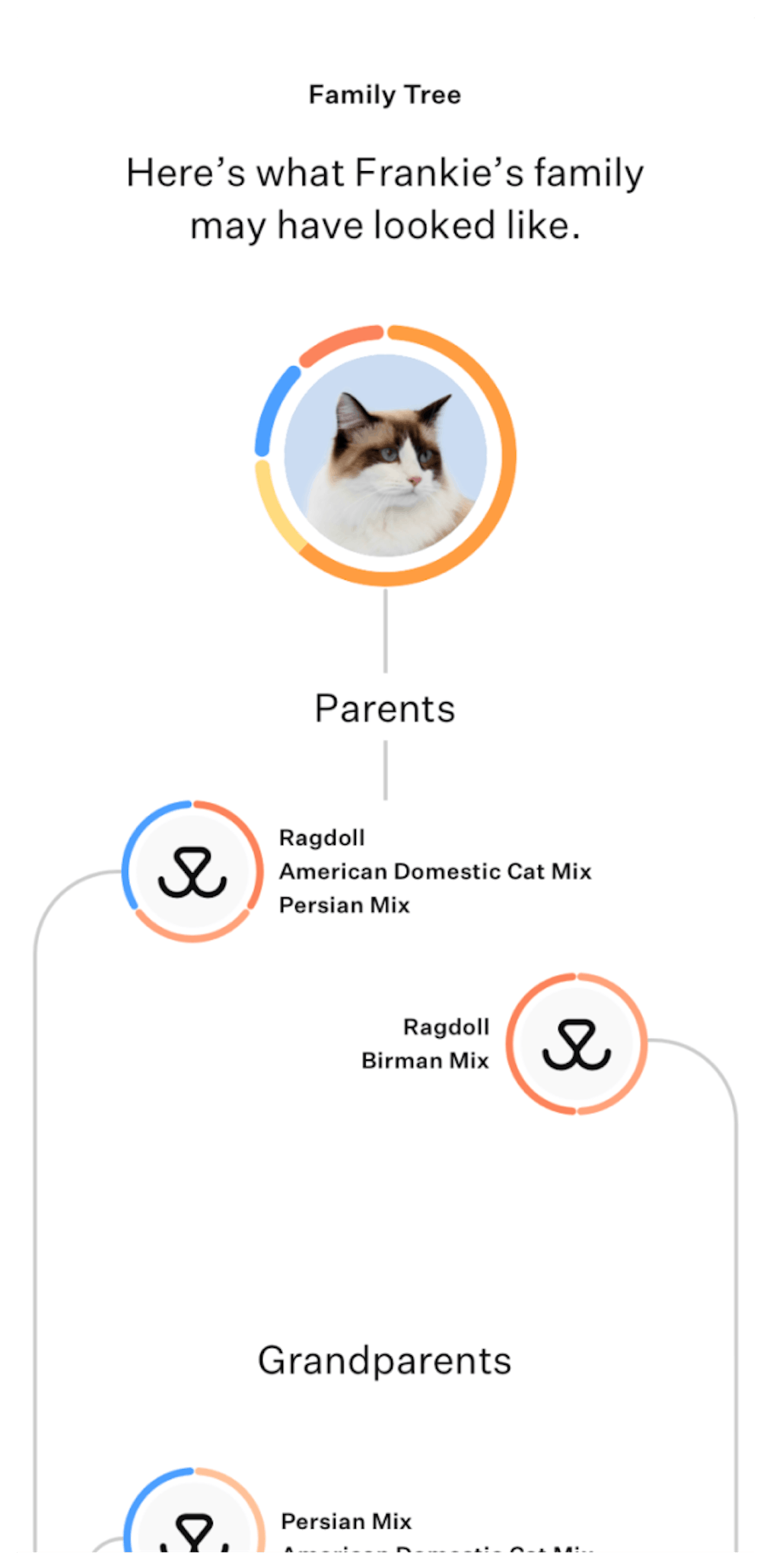 Shop cat DNA tests | Wisdom Panel™ Complete for Cats