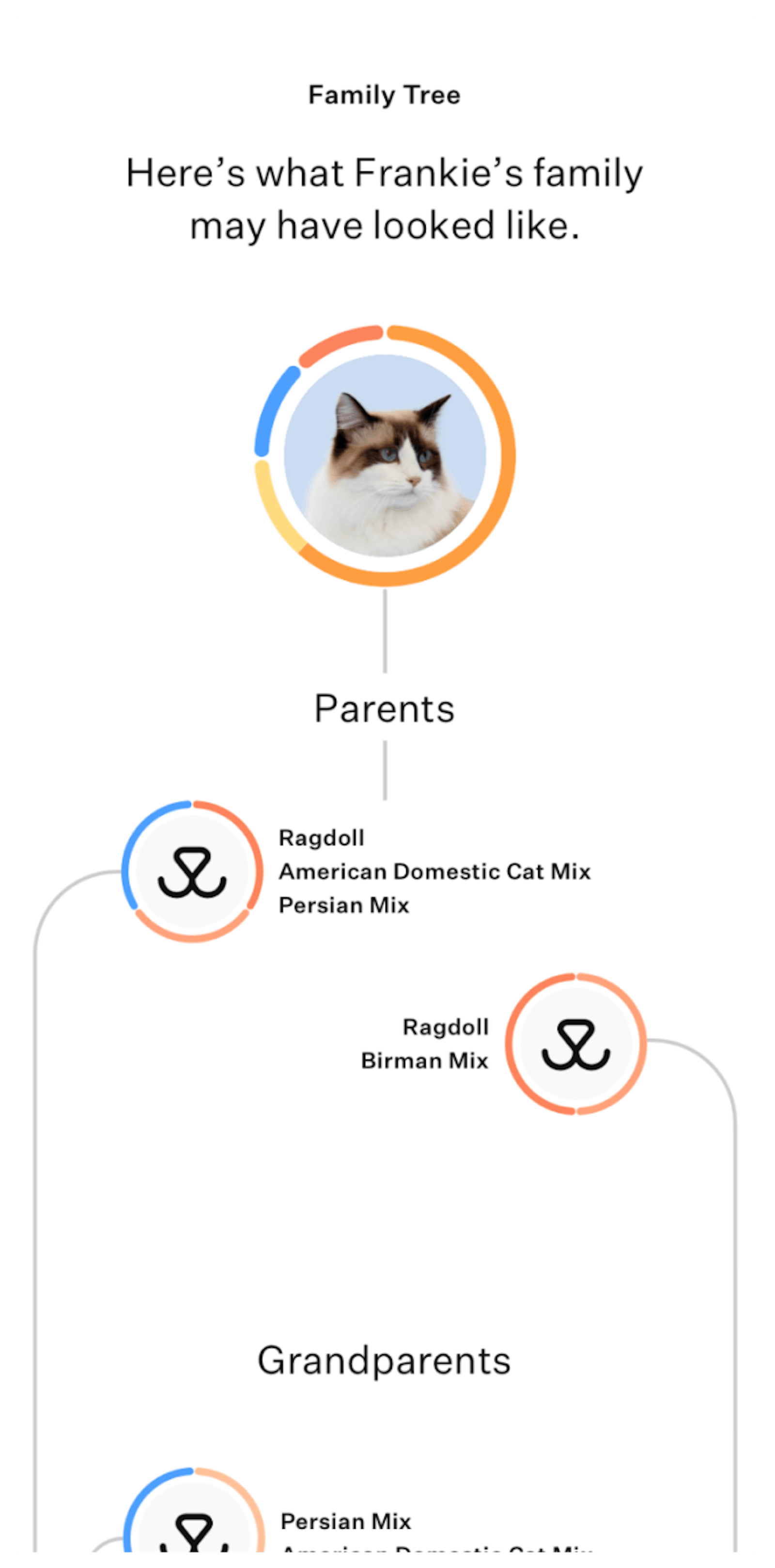 Shop cat DNA tests | Wisdom Panel™ Complete for Cats