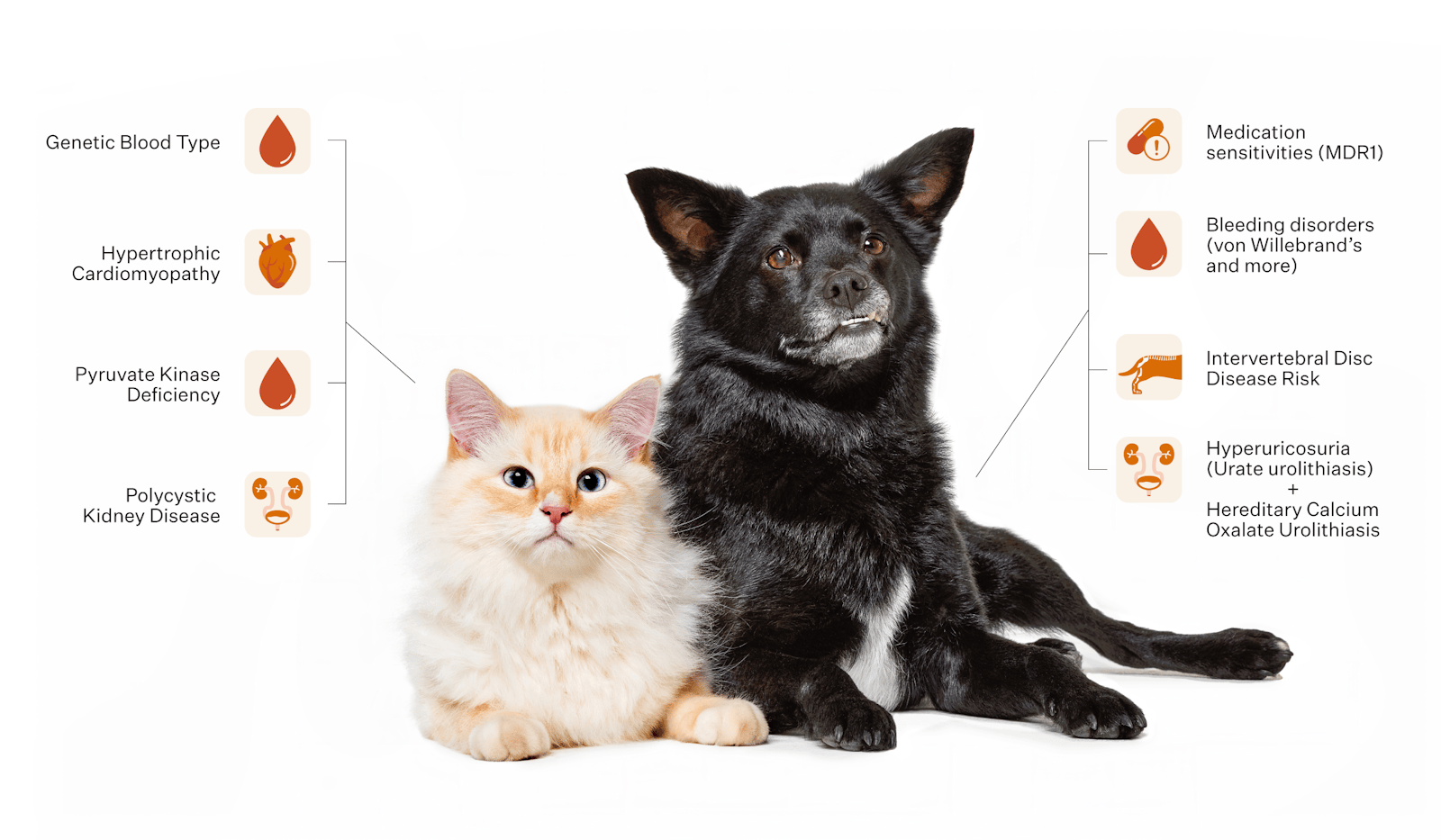 Wisdom Panel Veterinarians