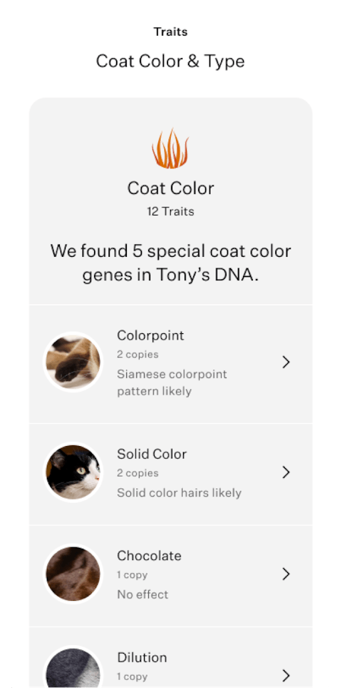 Shop cat DNA tests | Wisdom Panel™ Complete for Cats