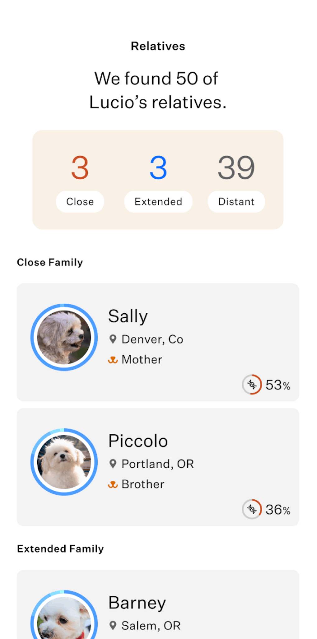 Wisdom Panel™ Essential dog DNA test | Most accurate breed detection