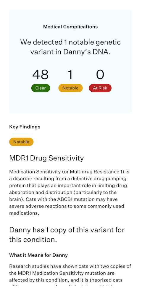Shop cat DNA tests | Wisdom Panel™ Complete for Cats