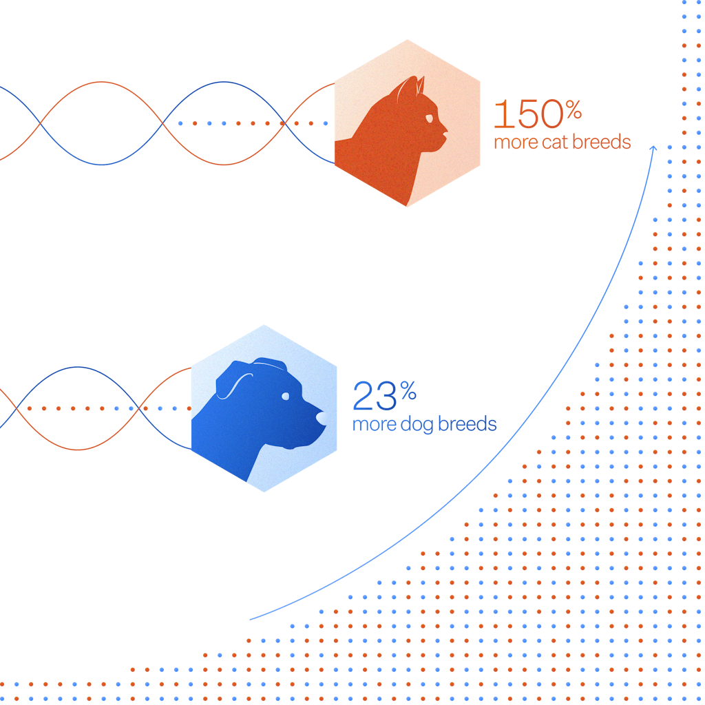 How pet DNA tests work | The science behind Wisdom Panel™ tests