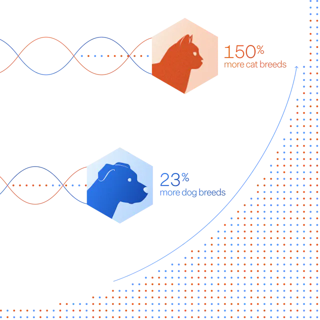 How pet DNA tests work | The science behind Wisdom Panel™ tests