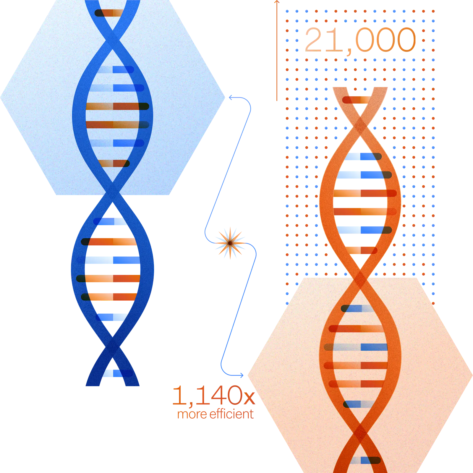How pet DNA tests work | The science behind Wisdom Panel™ tests