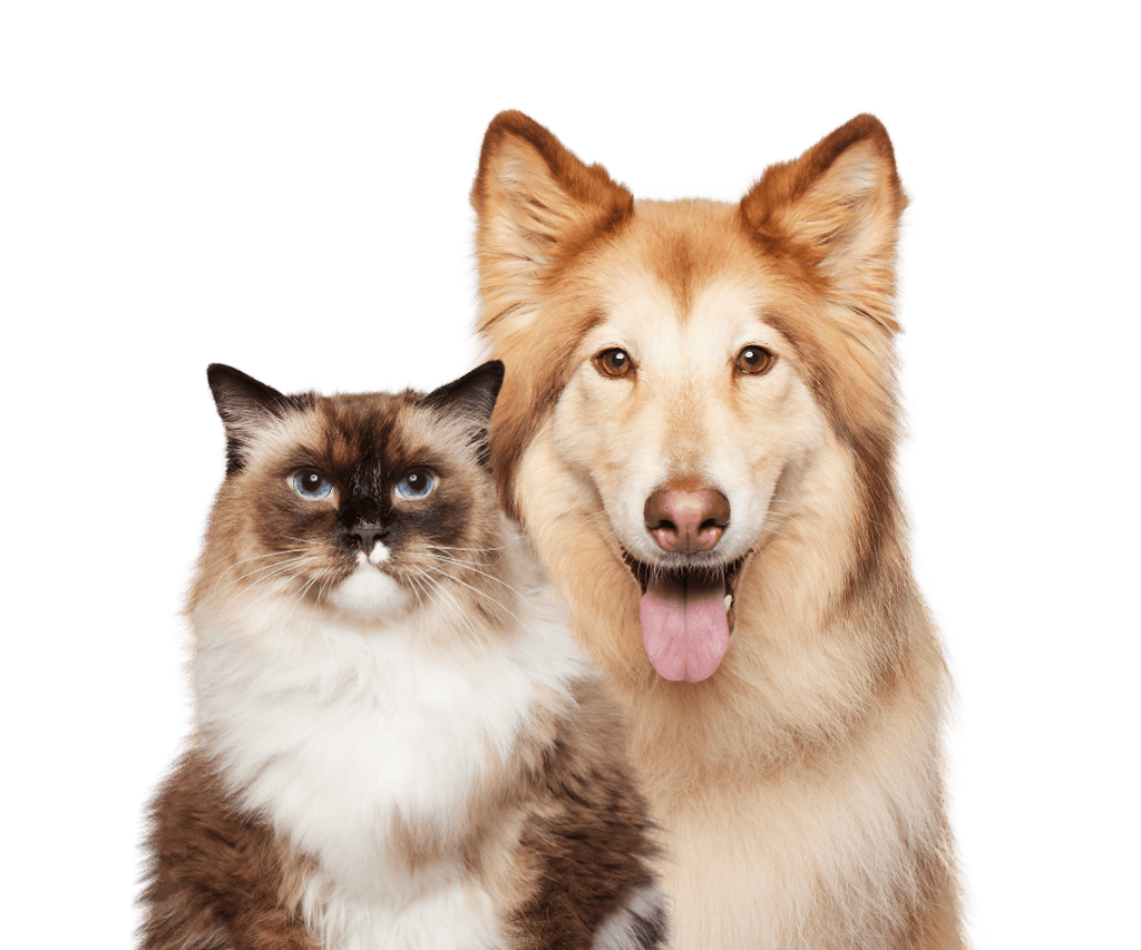 Wisdom Panel Veterinarians