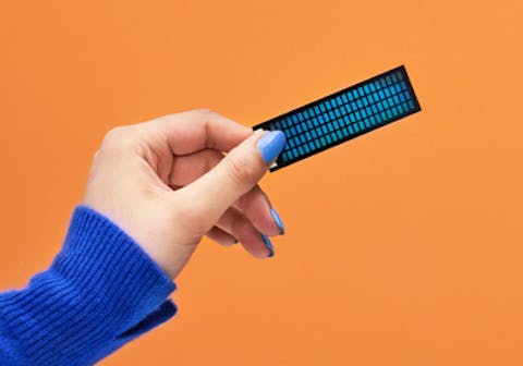 Wisdom Panel™ | World's most accurate dog DNA test service