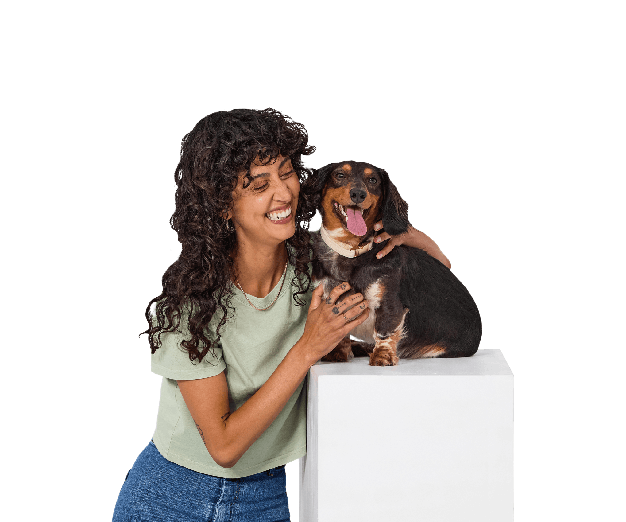 Wisdom Panel™ | World's most accurate dog DNA test service