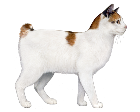 Wisdom Panel™ | The world's most accurate pet DNA test service