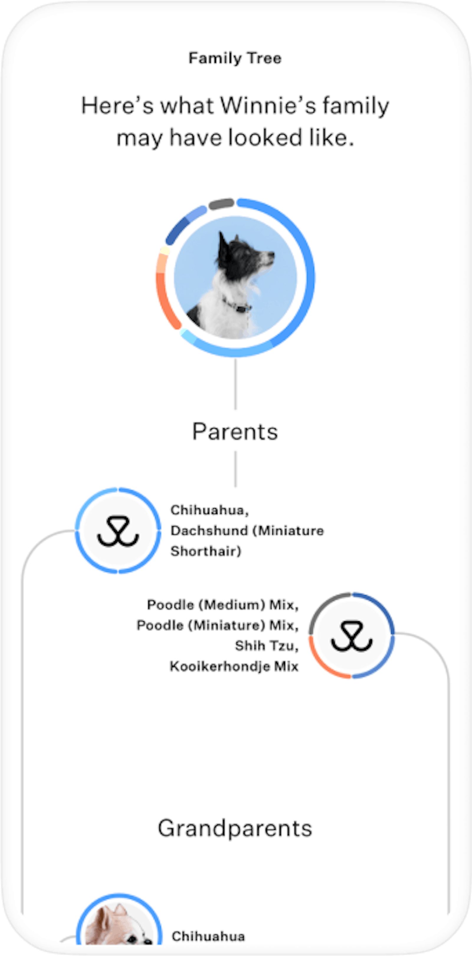 Wisdom Panel™ Essential dog DNA test | Most accurate dog breed test
