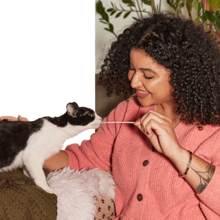 About Wisdom Panel™ pet DNA tests by Wisdom Health