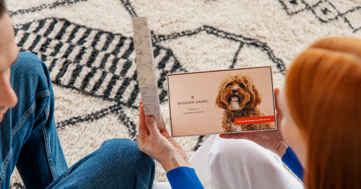Shop the world's most accurate pet DNA tests | Wisdom Panel™