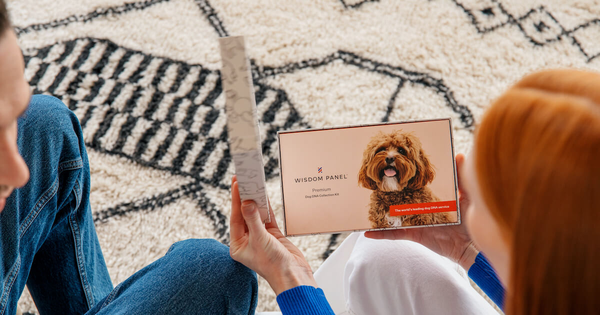 How pet DNA tests work | The science behind Wisdom Panel™ tests