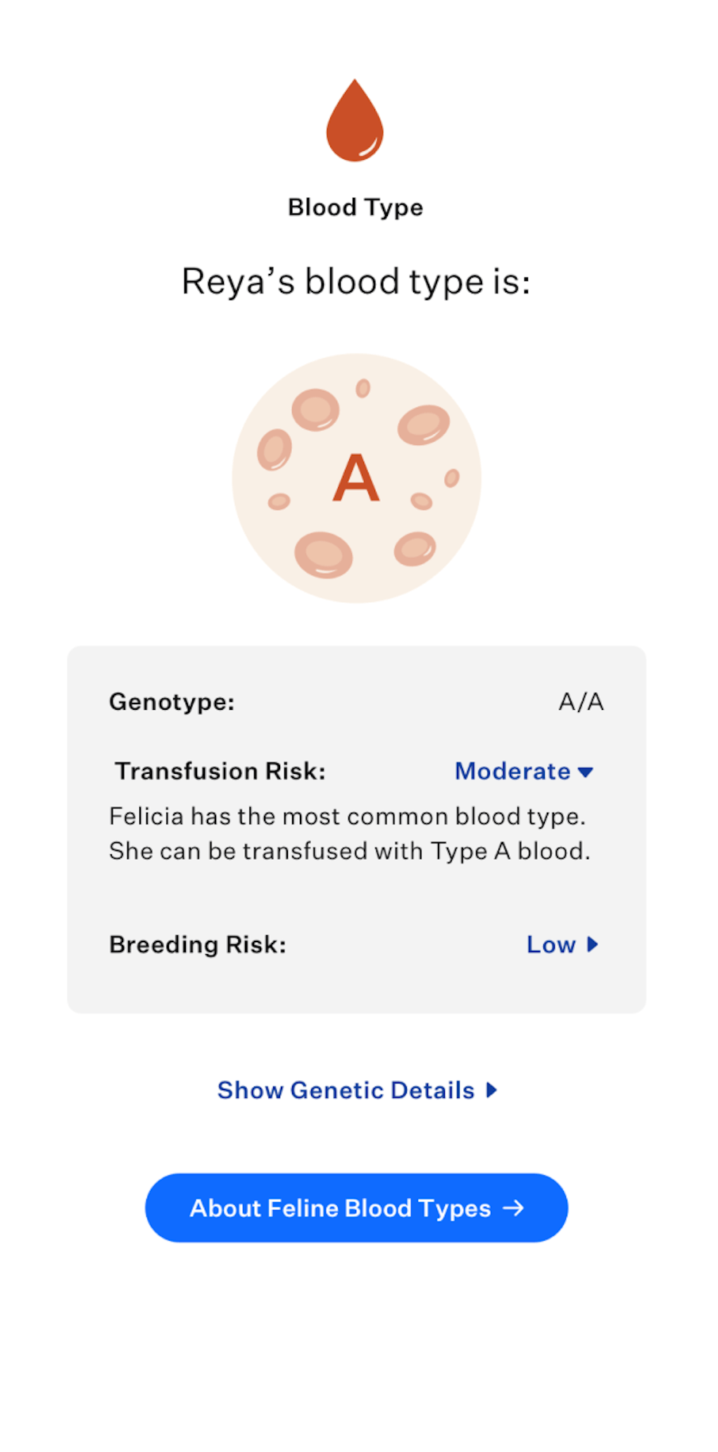Shop cat DNA tests | Wisdom Panel™ Complete for Cats