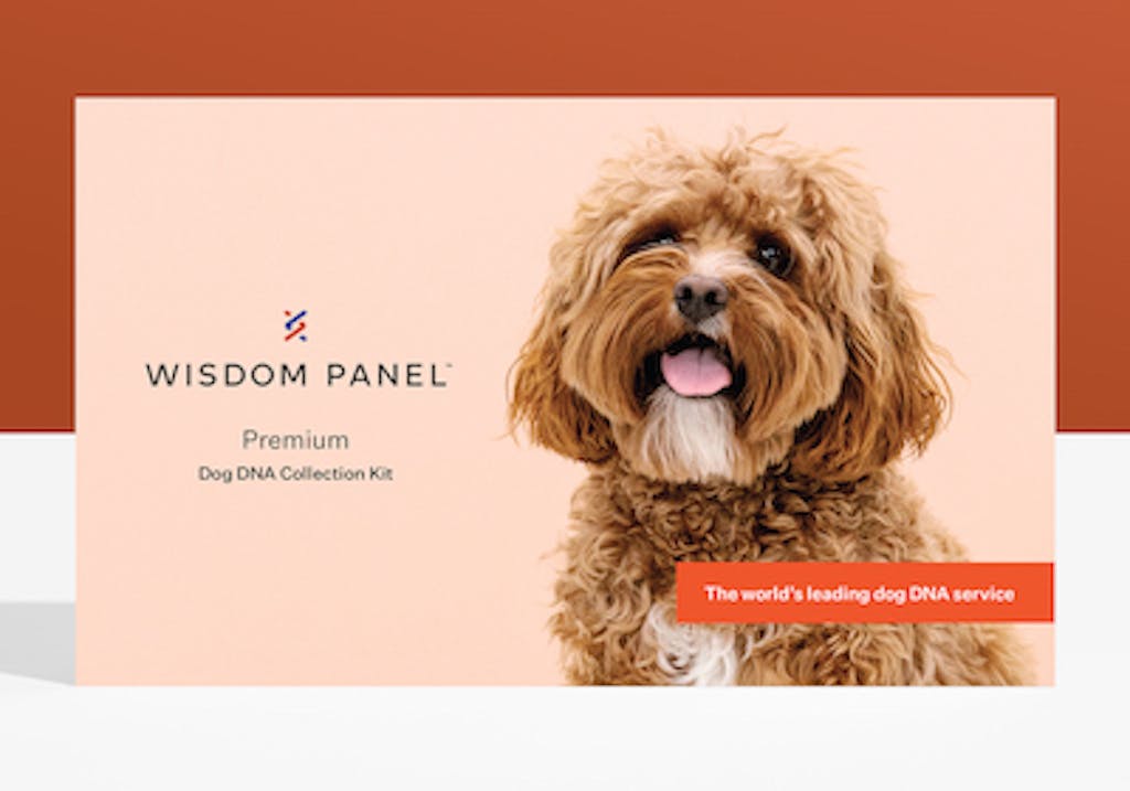 Wisdom Panel™ | The world's most accurate pet DNA test service