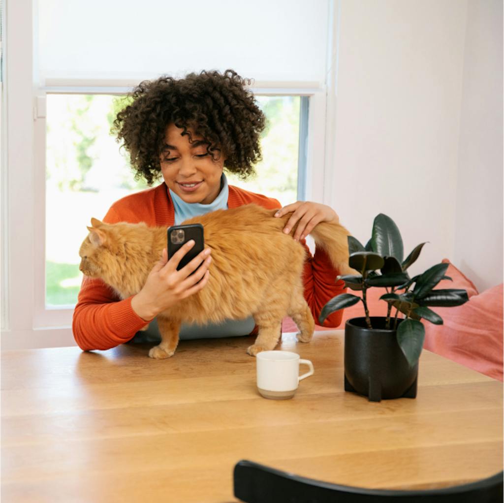 Shop cat DNA tests | Wisdom Panel™ Complete for Cats