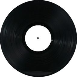 Women in Vinyl Glossary of Terms