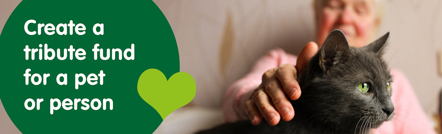 Wood Green Tribute Funds