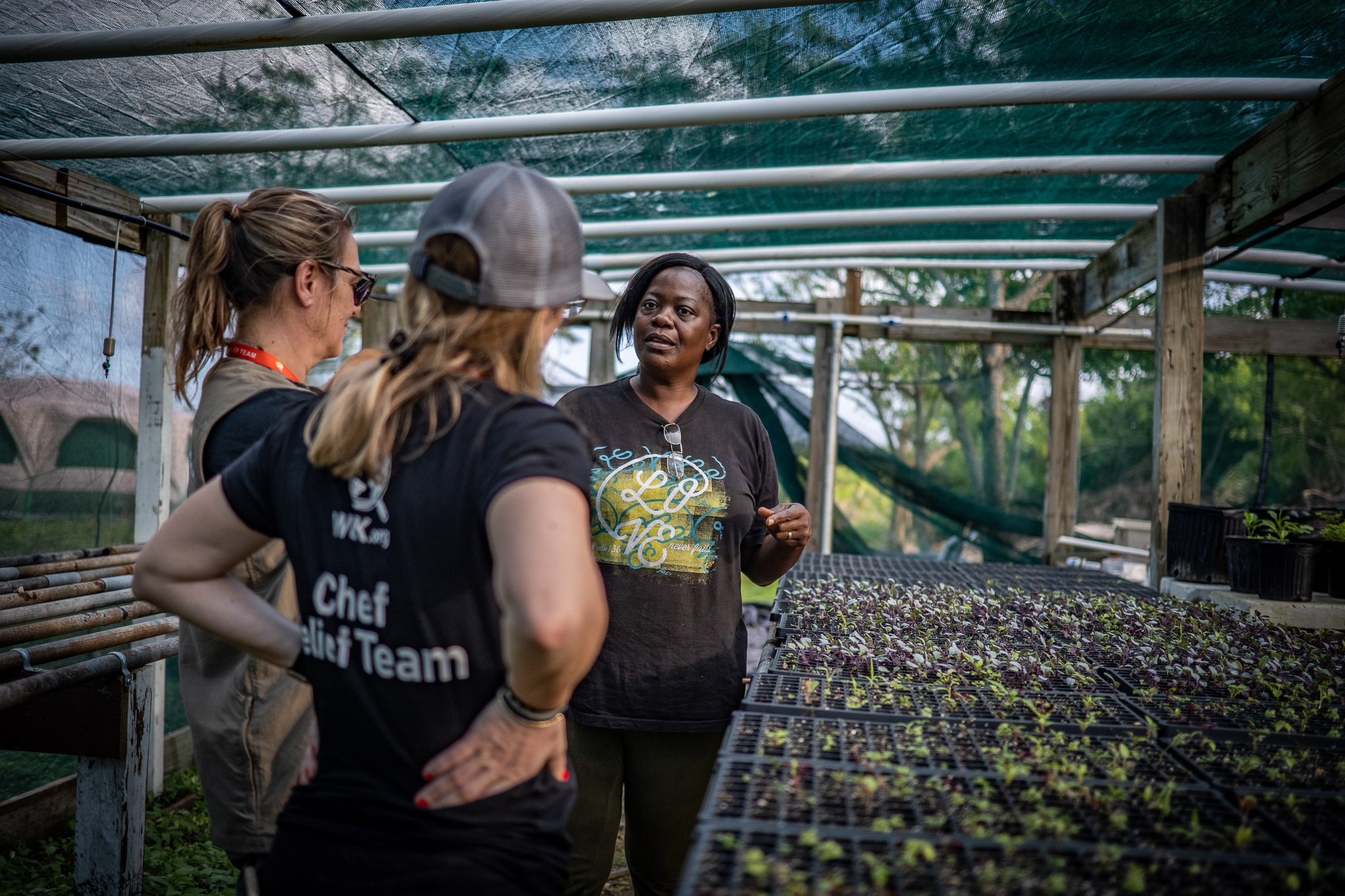 World Central Kitchen | WCK in 2020