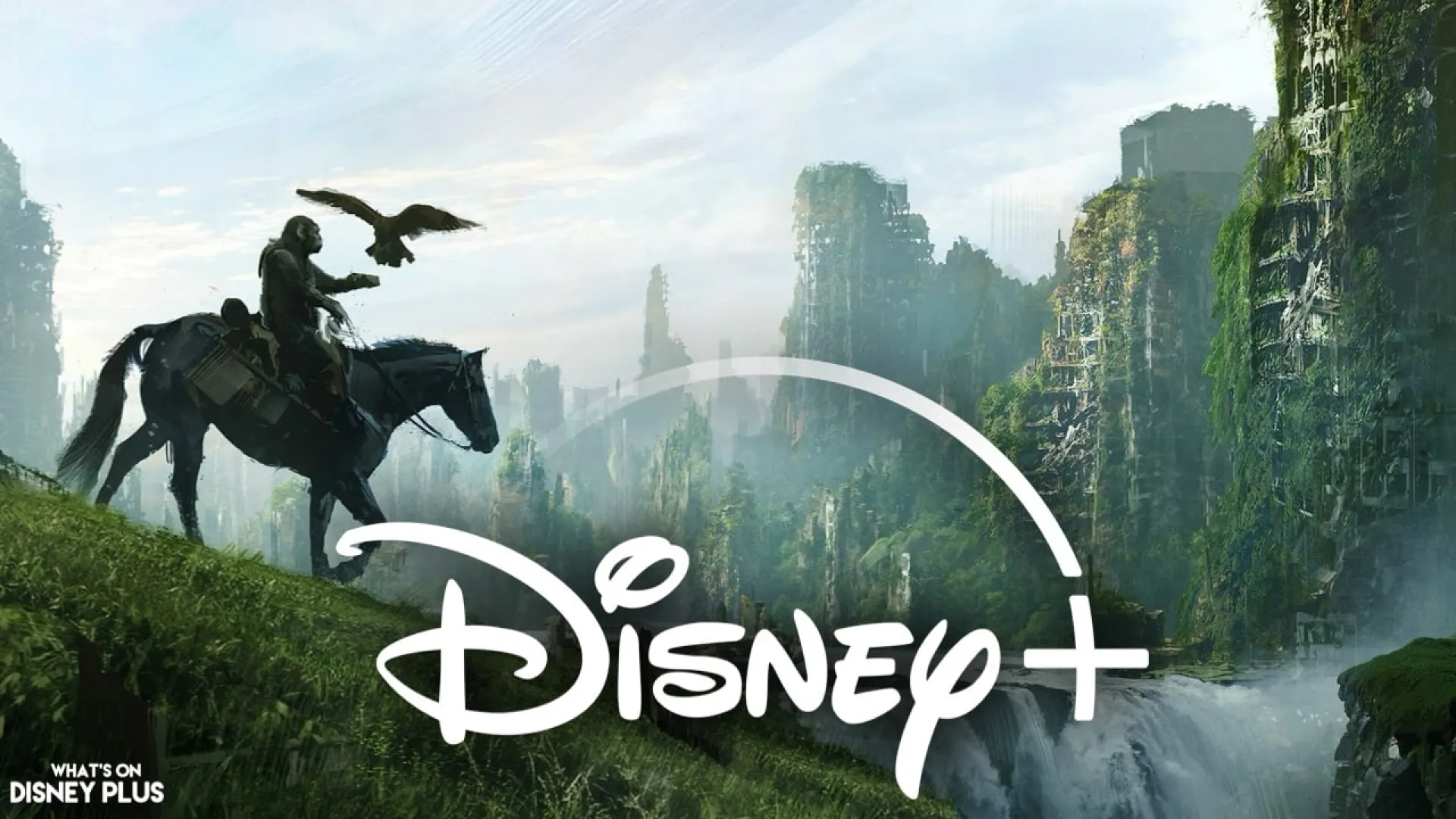 Disney - Multi Film