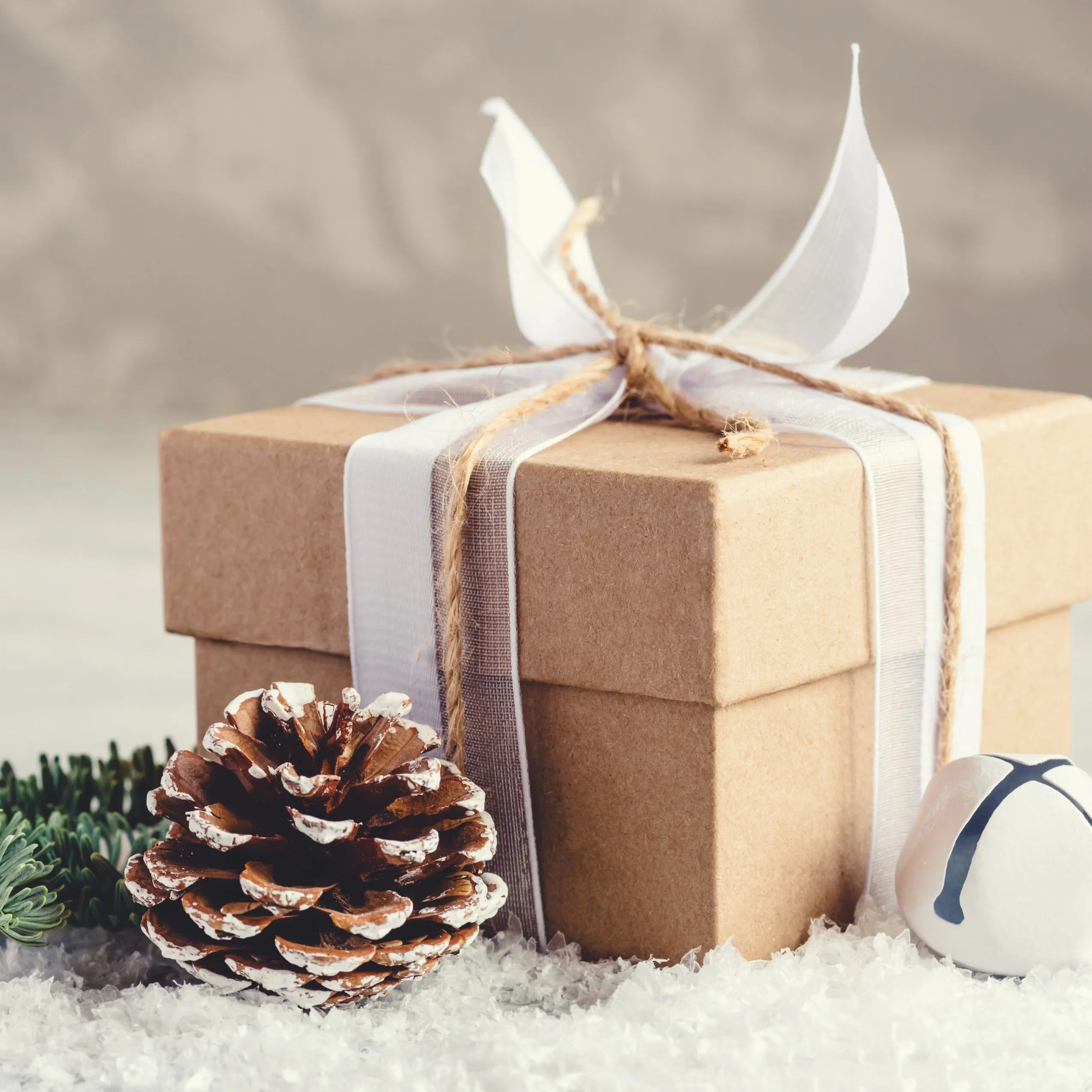 33 Christmas Gifts For the Person Who Has Everything