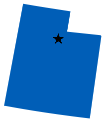 Associated Packaging Inc.