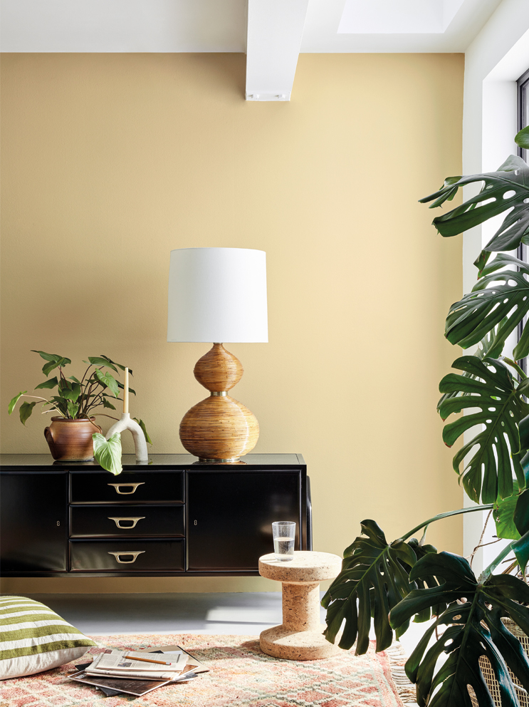 Little Greene - Buy Luxury Paint and Wallpaper Online