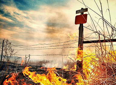 Library | POWER Engineers