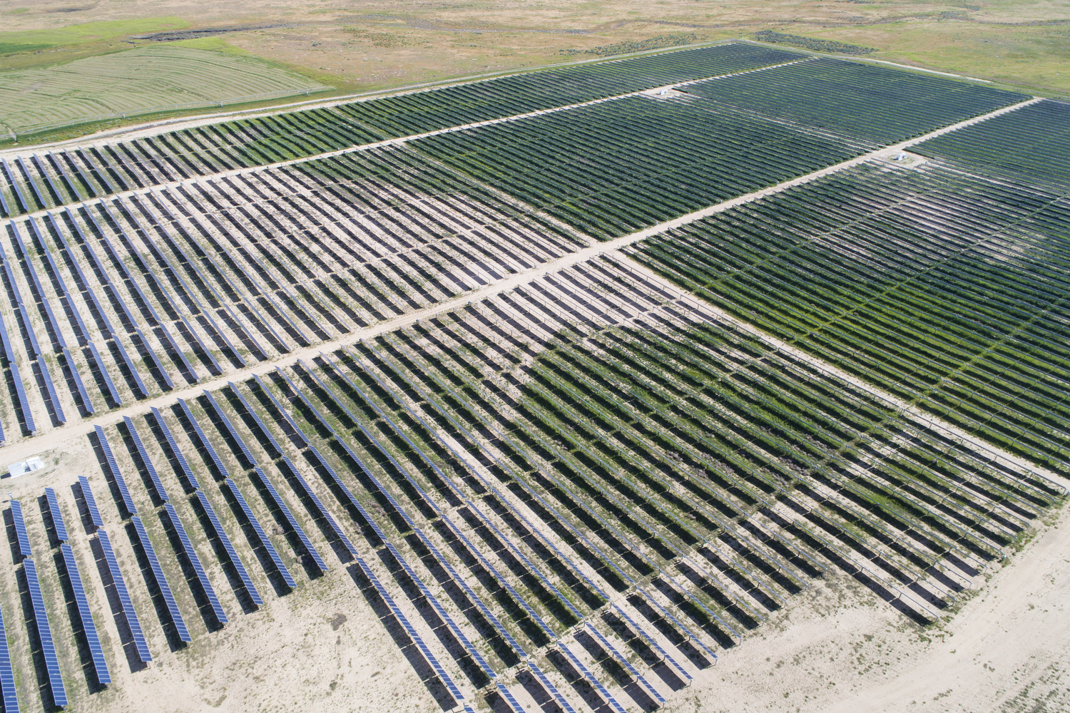 40 MW Utility-Scale Solar Farm | POWER Engineers