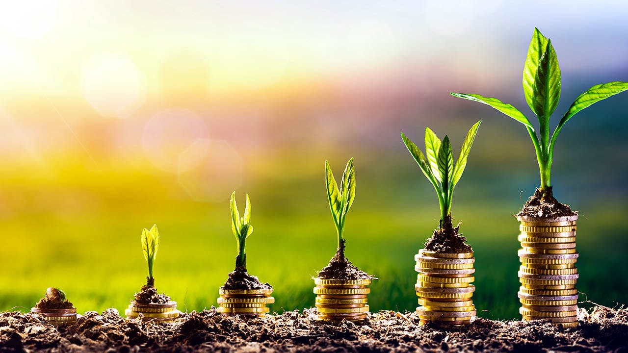 Start Saving and Investing Small Amounts - XENO