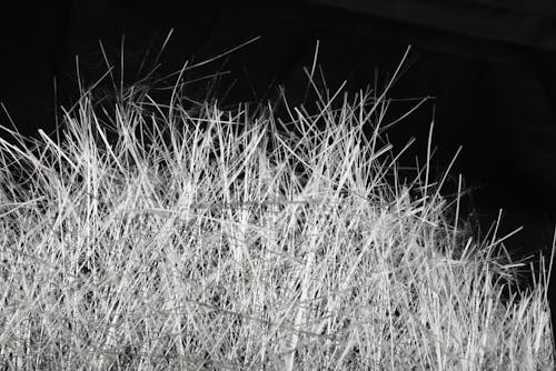 Fiberglass: History, Characteristics, Types, Forms, and Properties ...