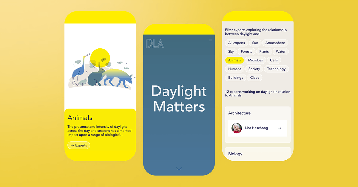 Superdot • Daylight Matters Knowledge Hub