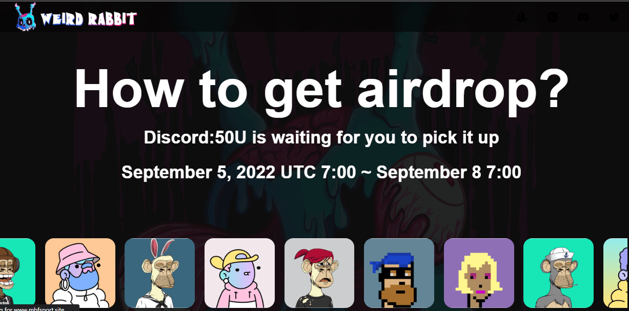 The Most Common NFT Scams And How To Avoid Them - Yellow Card Academy